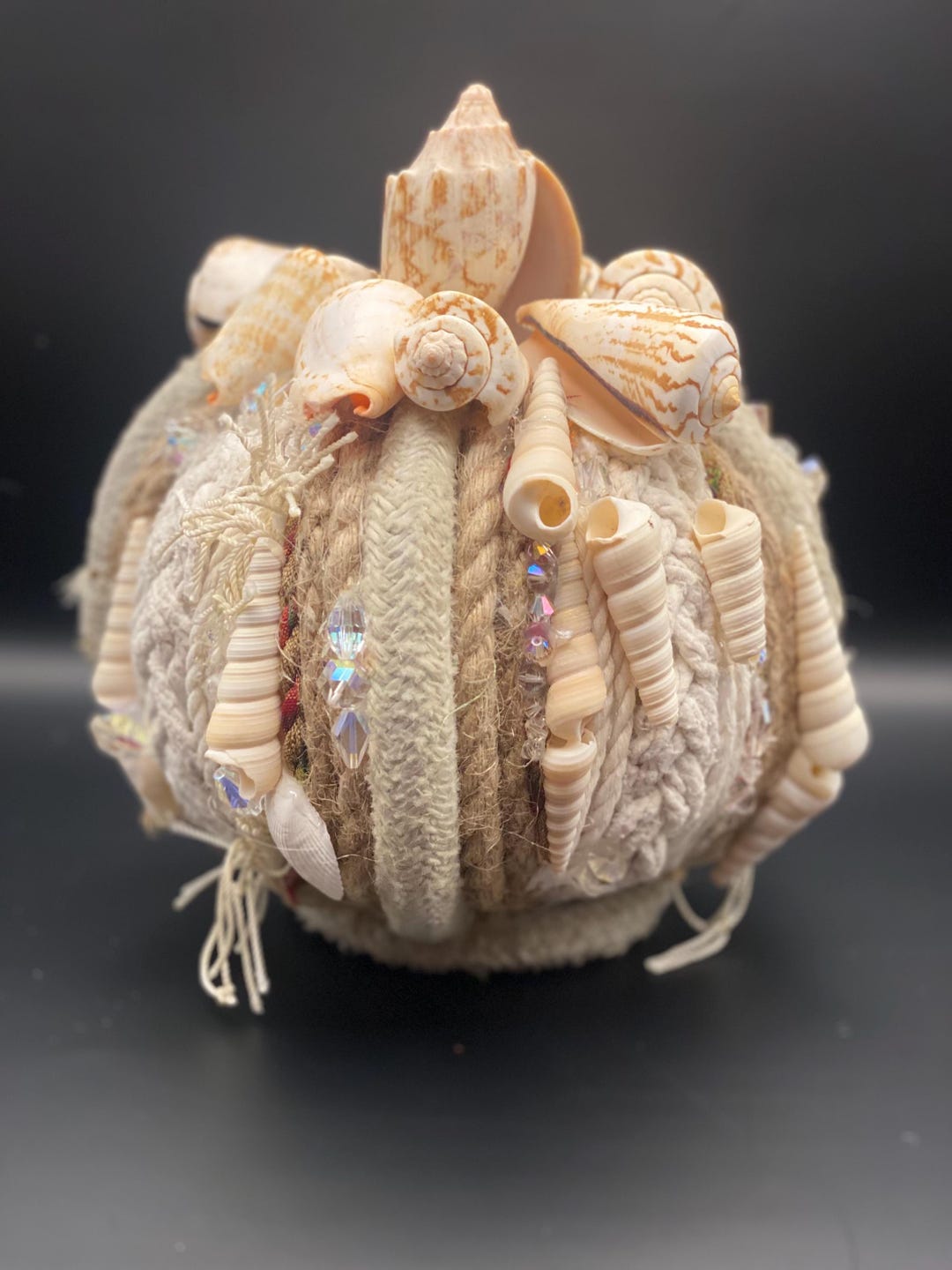 A Sea Shells by the Seashore. Pumpkin - Etsy