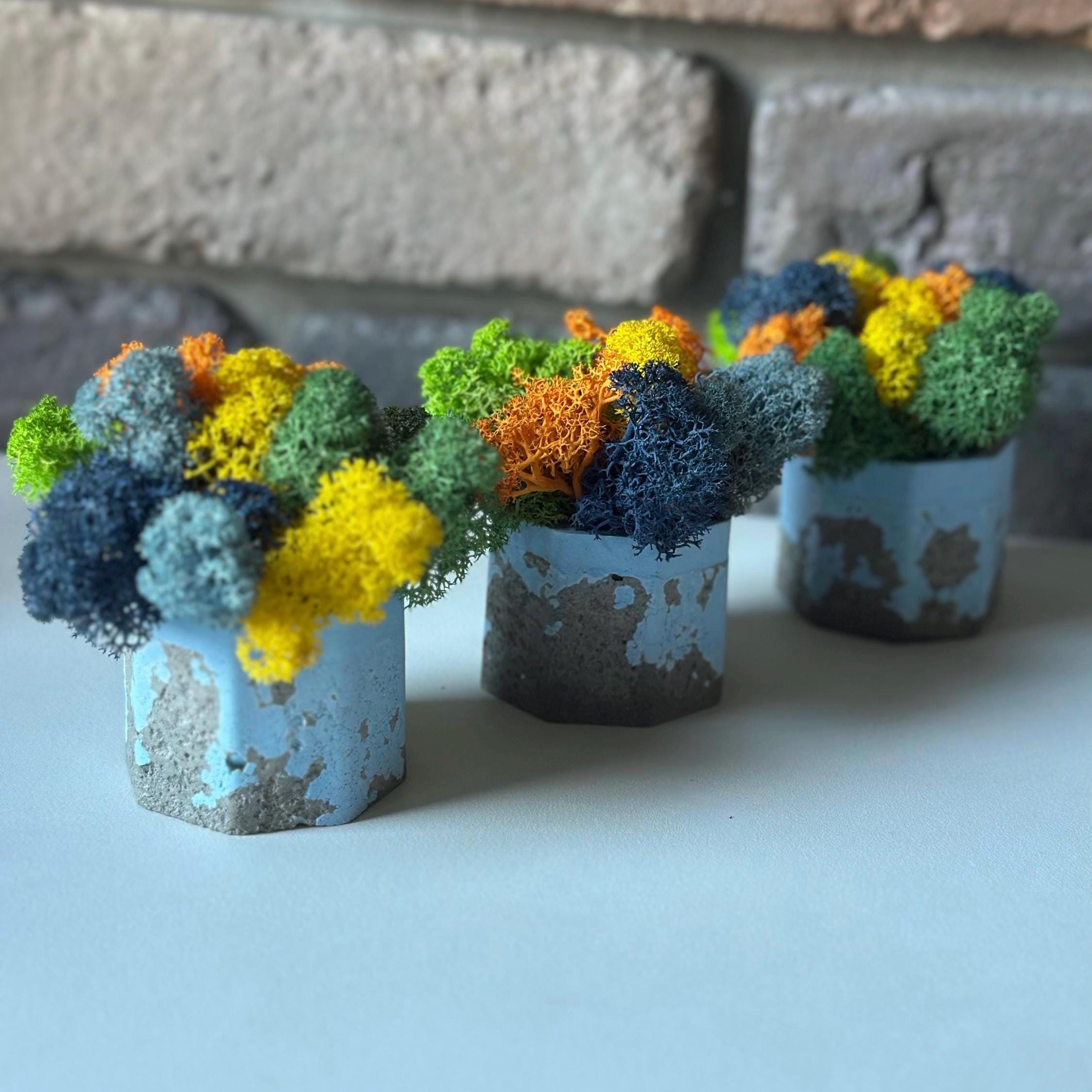 Moss Preserved Moss Cafe Decor Bar Decor Indoor Planters Unique ...