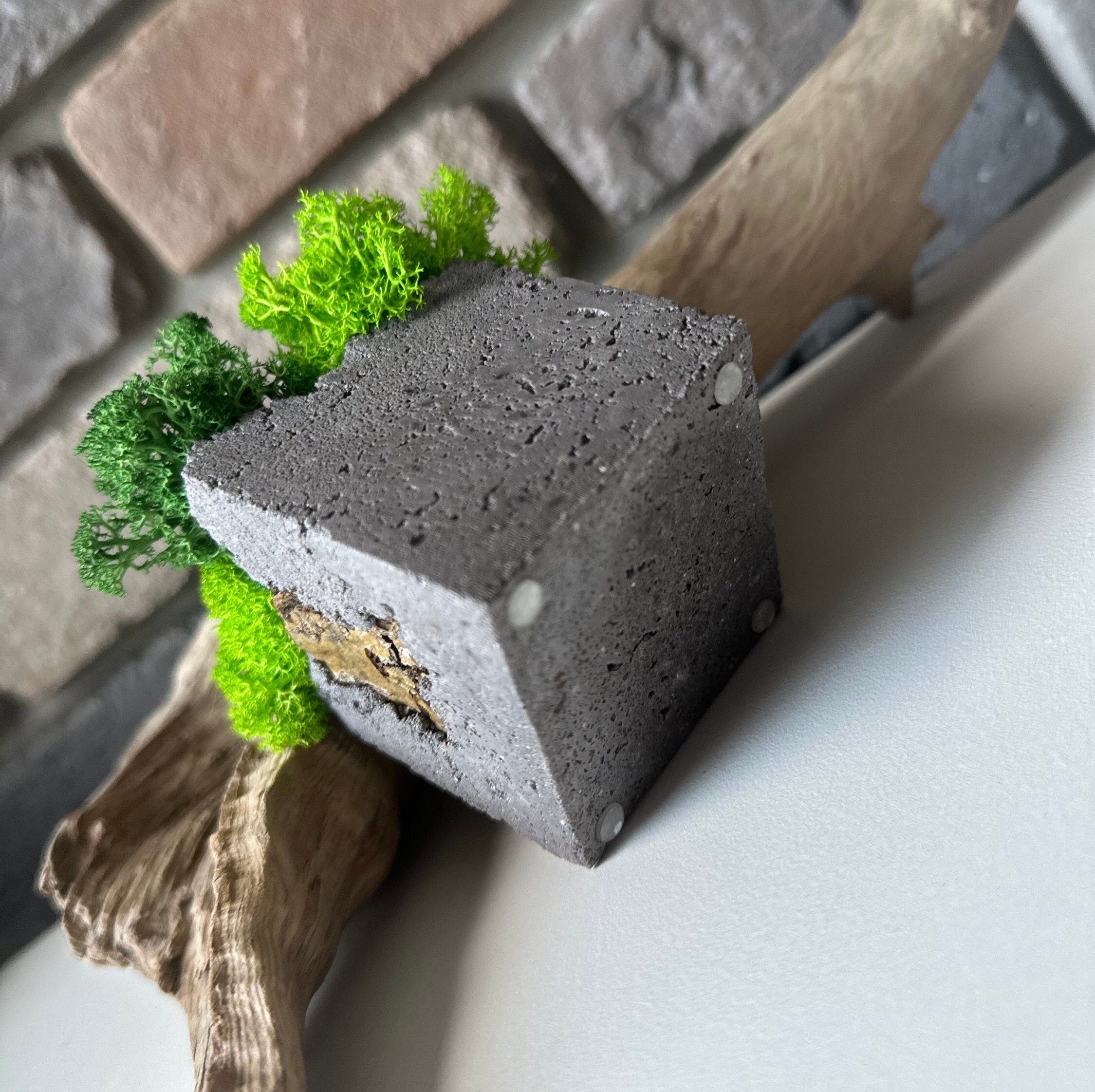 Concrete Pots Moss Decor Geometric Pots Home Living Moss Pots Table ...