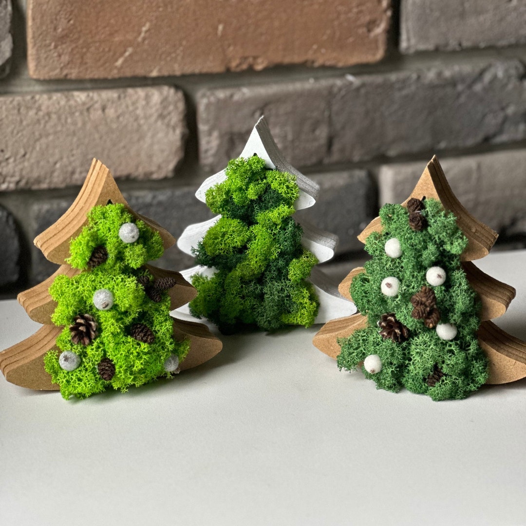 Small Christmas Tree, Tabletop Xmas Tree, Moss Centrepiece, Holiday ...