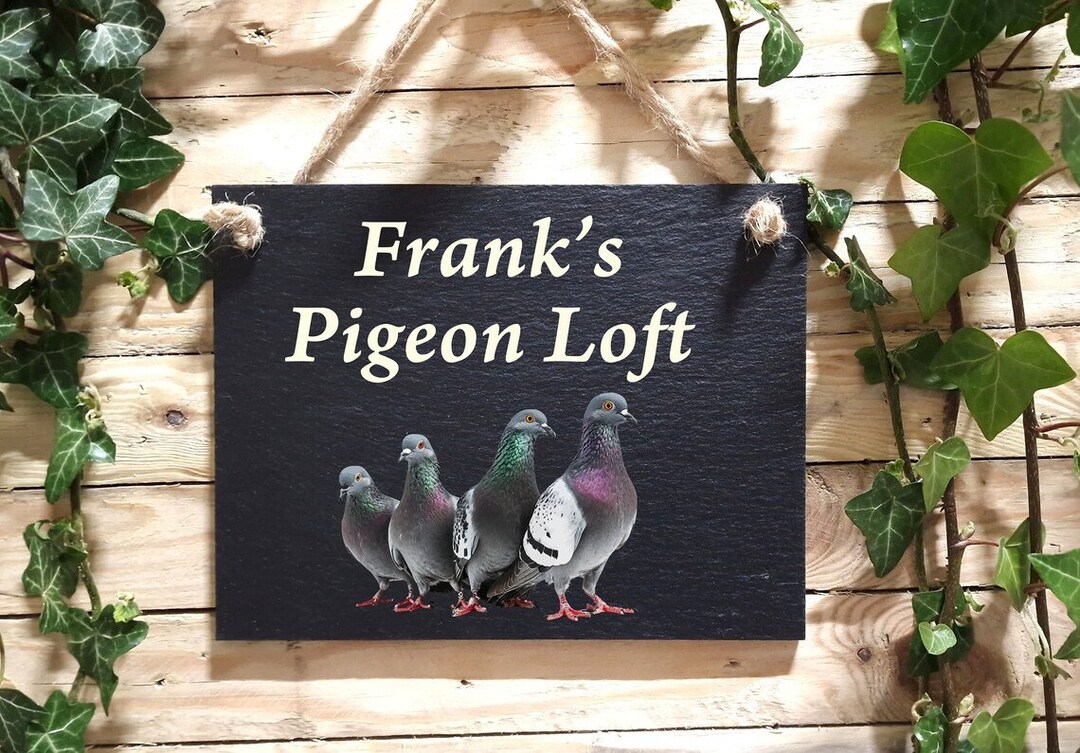 Personalised Pigeon Loft Slate House Sign 4 Sizes Available Perfect ...