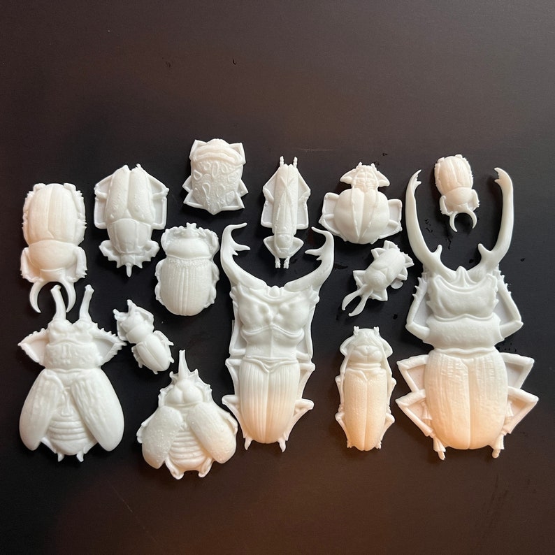 Specimens iod Resin Shapes - Etsy