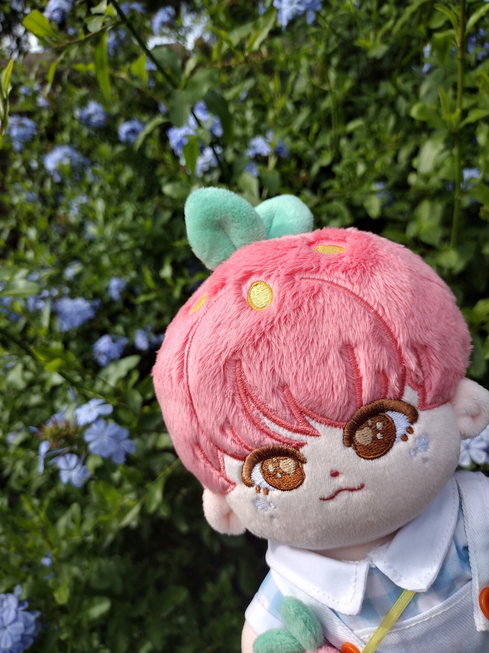 Strawberry Sunoo Doll - Etsy
