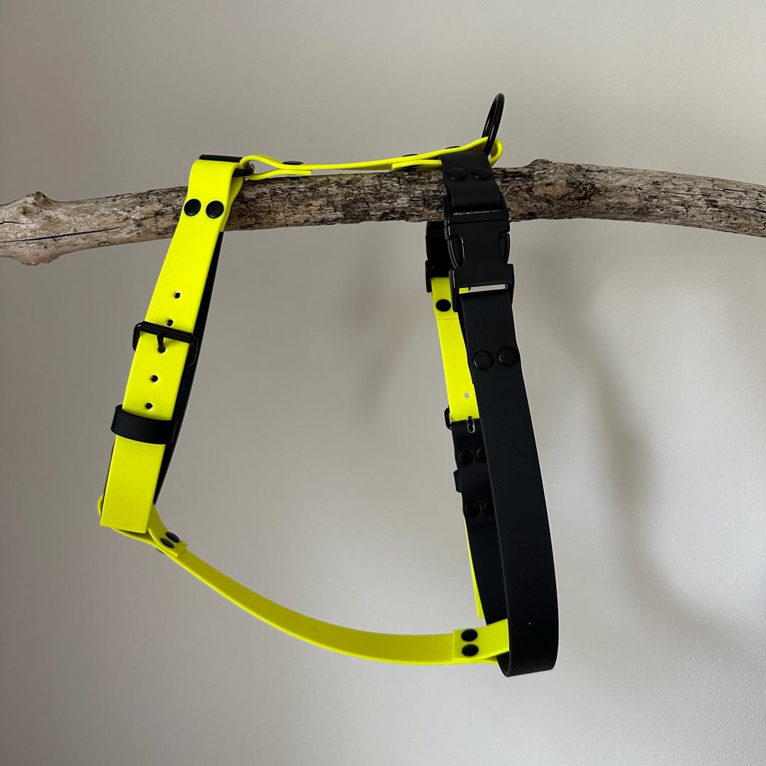 Waterproof Dog Harness, Made to Measure, Perfect Fit Easy Clean Dog ...