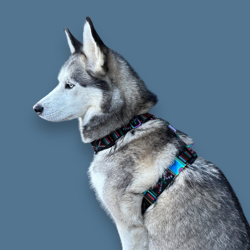 Dog Collar Hardware - Etsy