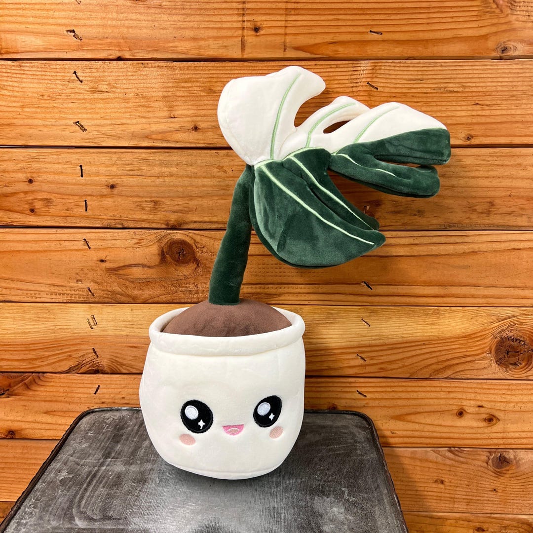 Monstera Albo Plush Large - Etsy