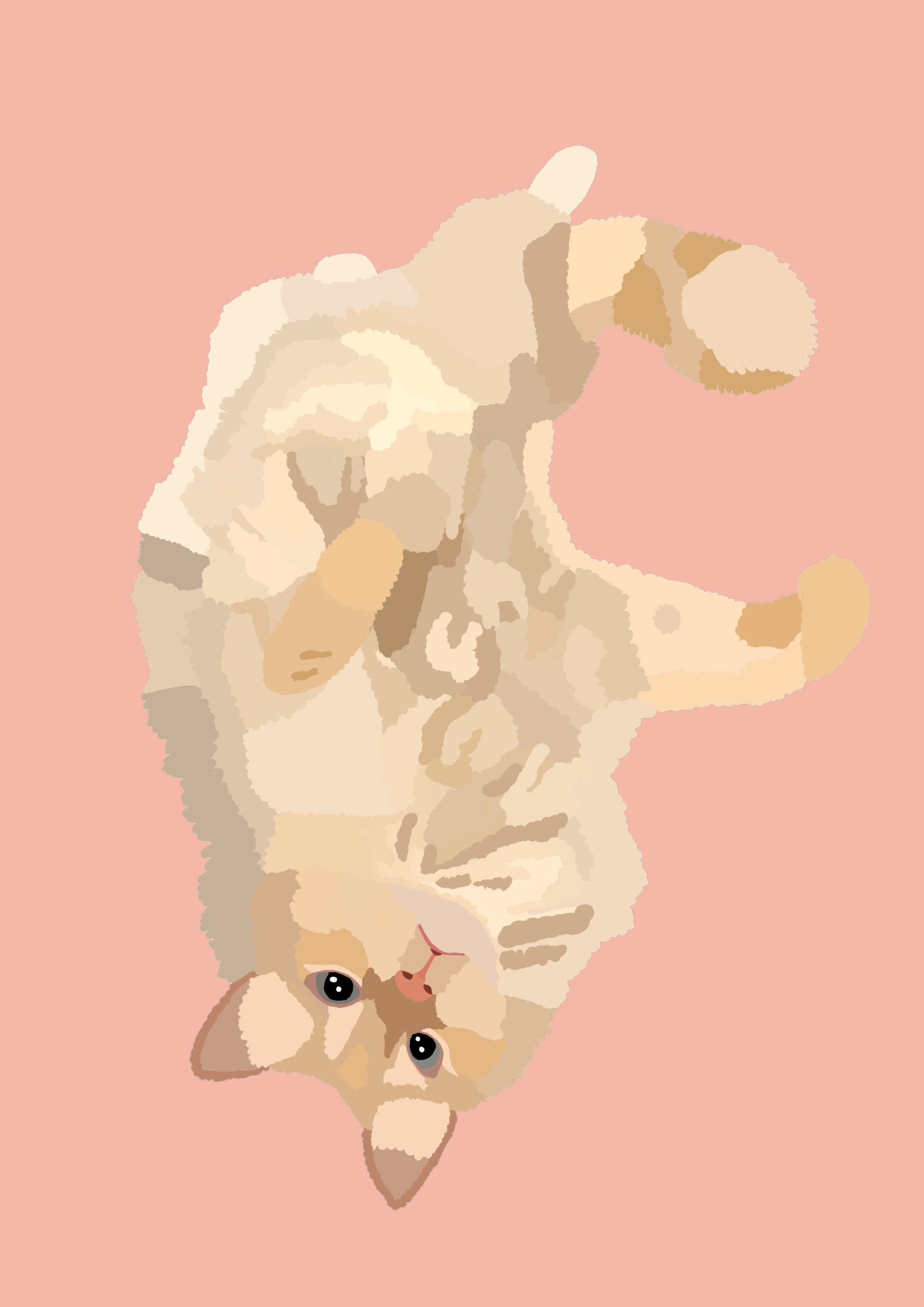 Personalised Cat Print - Etsy UK