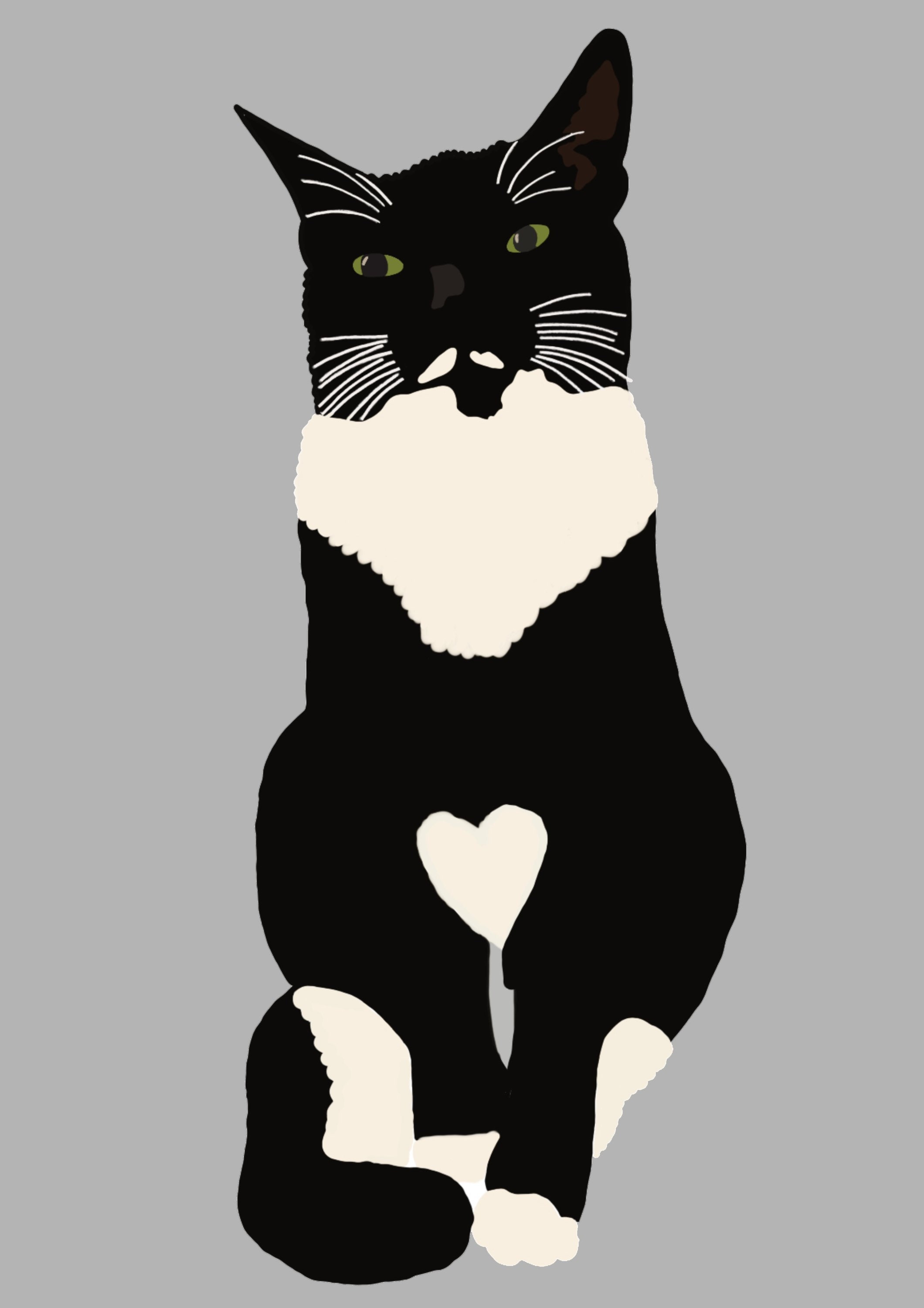 Personalised Cat Print - Etsy UK