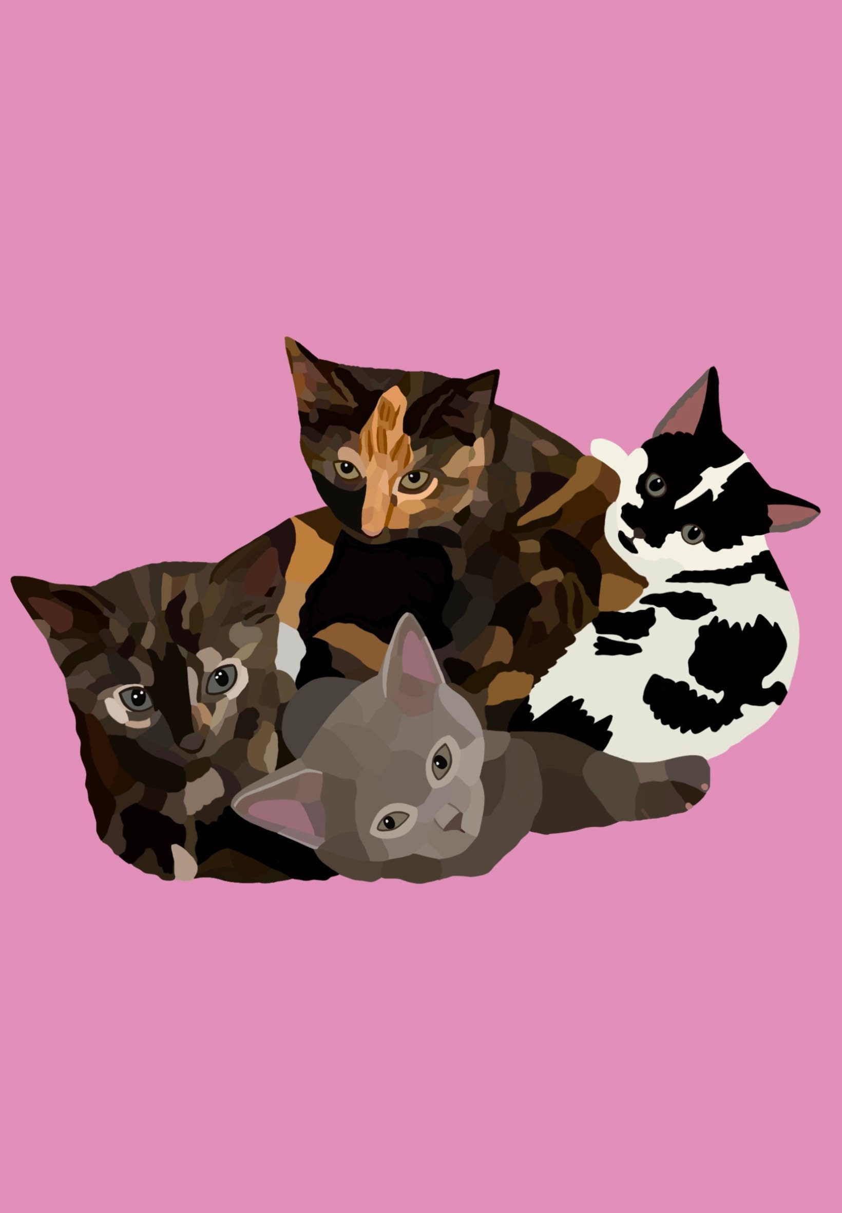 Personalised Cat Print - Etsy UK