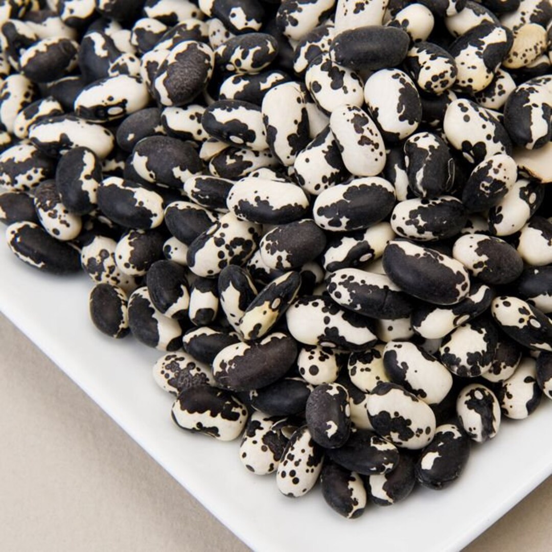 USA SELLER Orca Beans 25 Seeds HEIRLOOM - Etsy