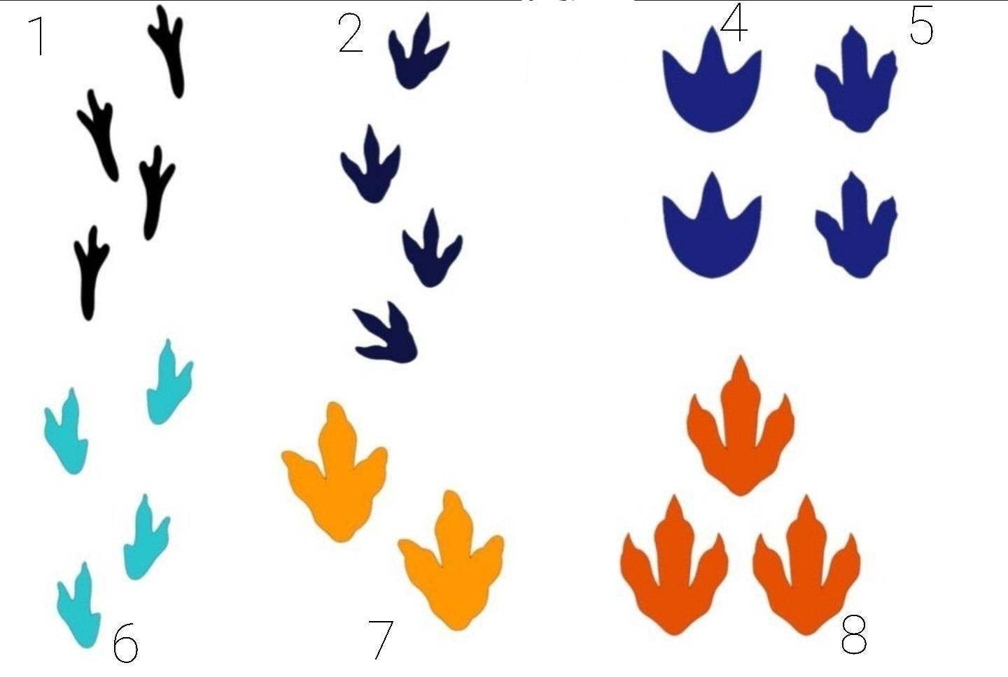 Dinosaur Tracks Border