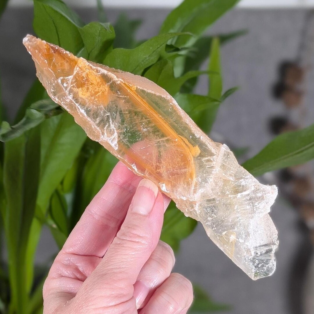 6.3" Golden Phantom Selenite Slab From Utah - Etsy