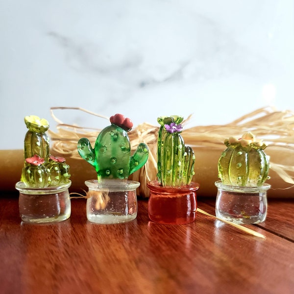 Miniature Cactus - Etsy