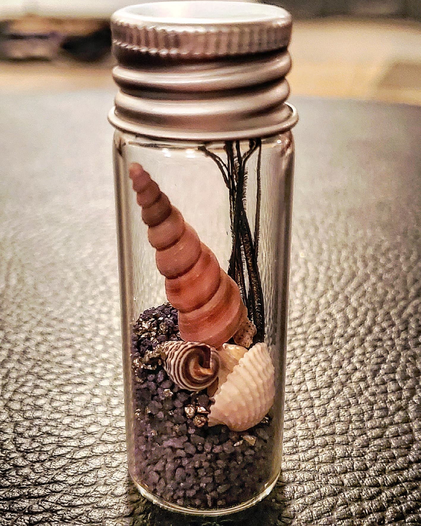 Oddity Vials Ethically Sourced Real Insects Real Shells Vial Art Dried ...