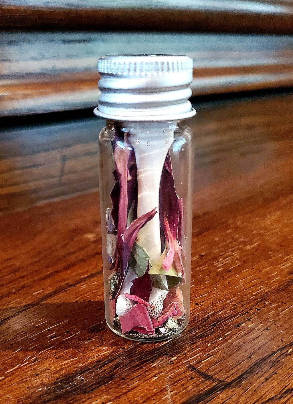 Oddity Vials Ethically Sourced Real Insects Real Shells Vial Art Dried ...