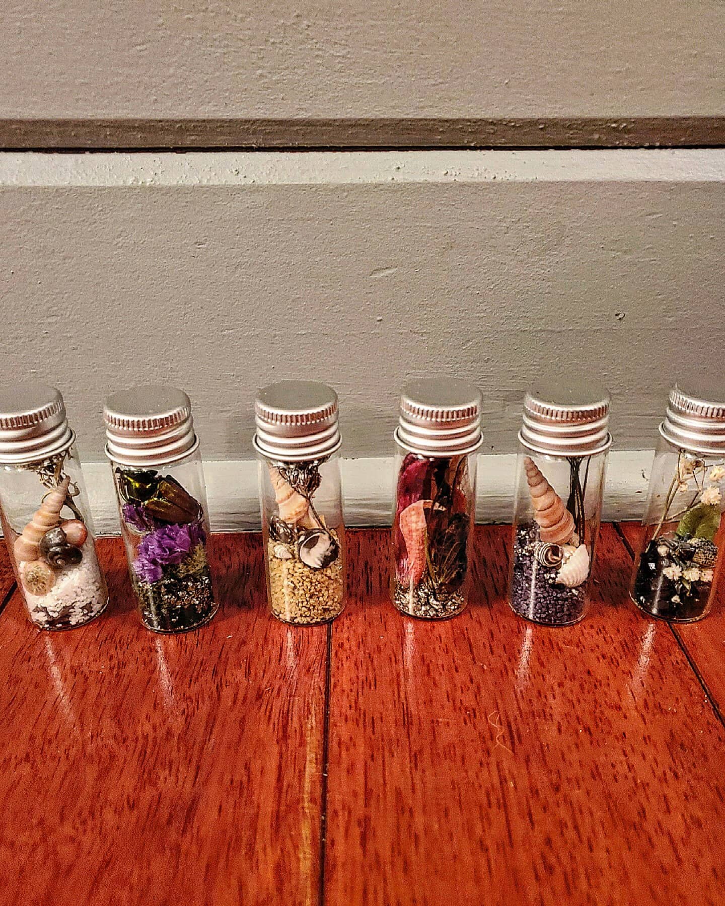 Oddity Vials Ethically Sourced Real Insects Real Shells Vial Art Dried ...