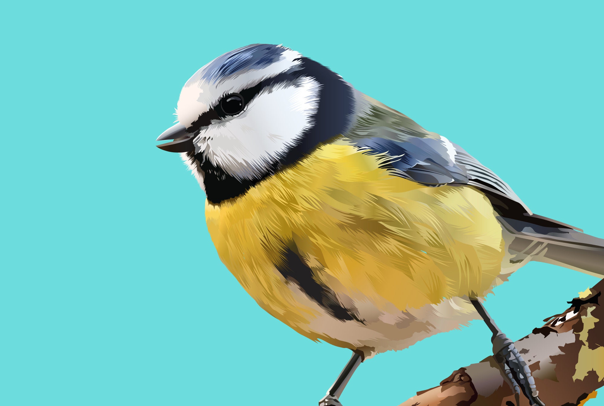 Beautiful Blue Tit Illustration. British Garden Bird Artwork Created by ...