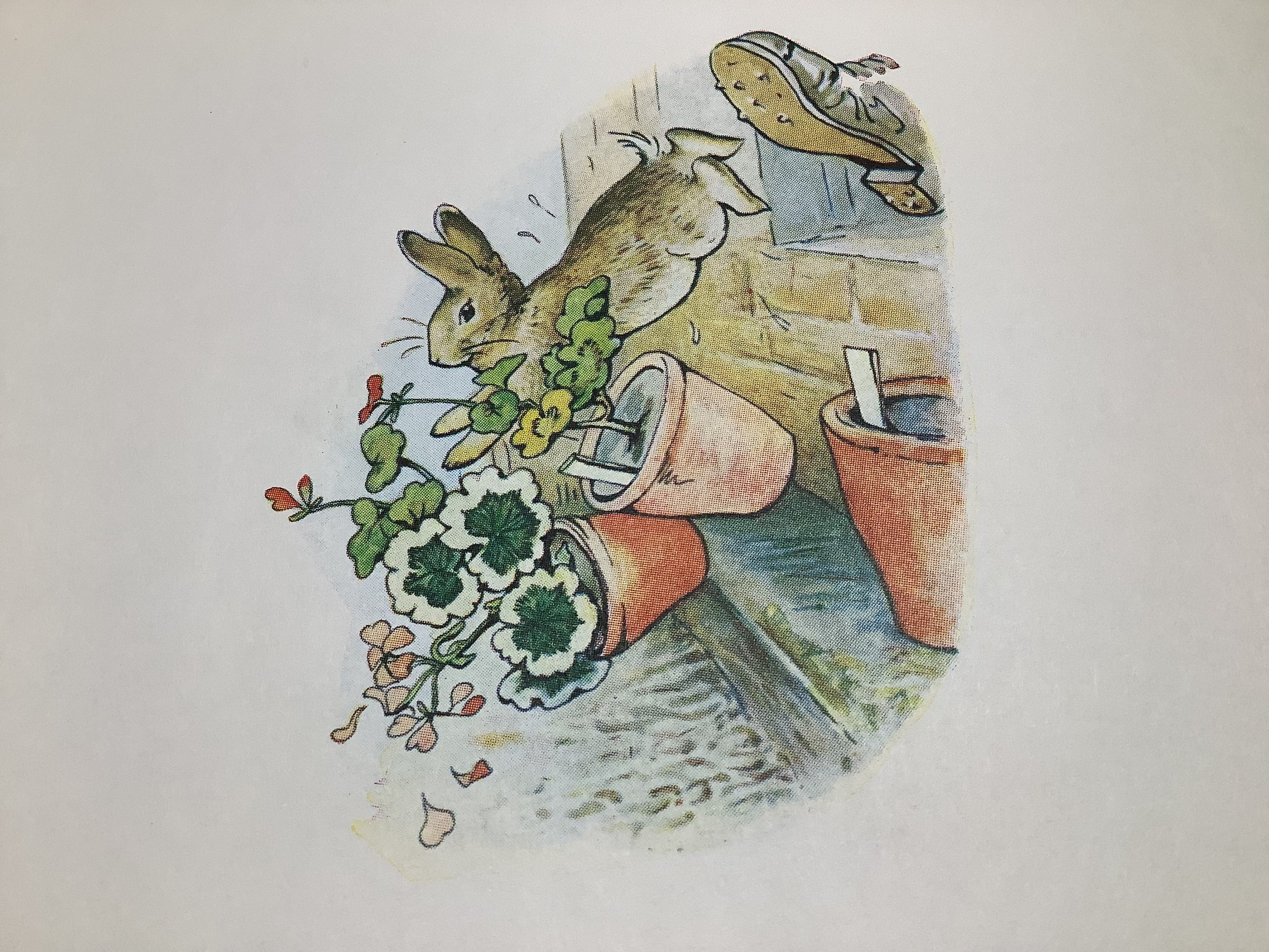 1991 the Tale of Peter Rabbit Beatrix Potter Mr Mcgregor Flopsy, Mopsy ...