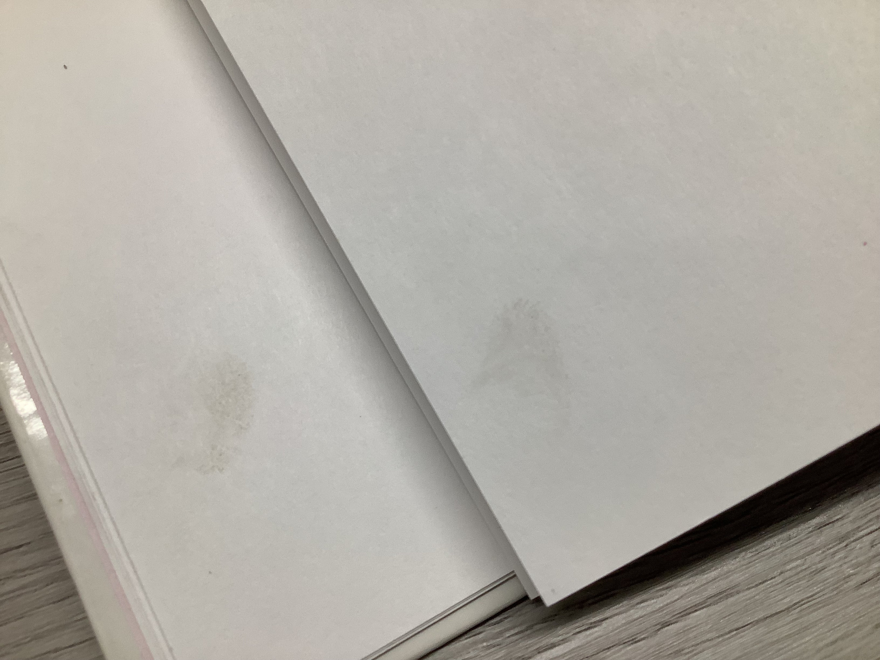 1991 the Tale of Peter Rabbit Beatrix Potter Mr Mcgregor Flopsy, Mopsy ...