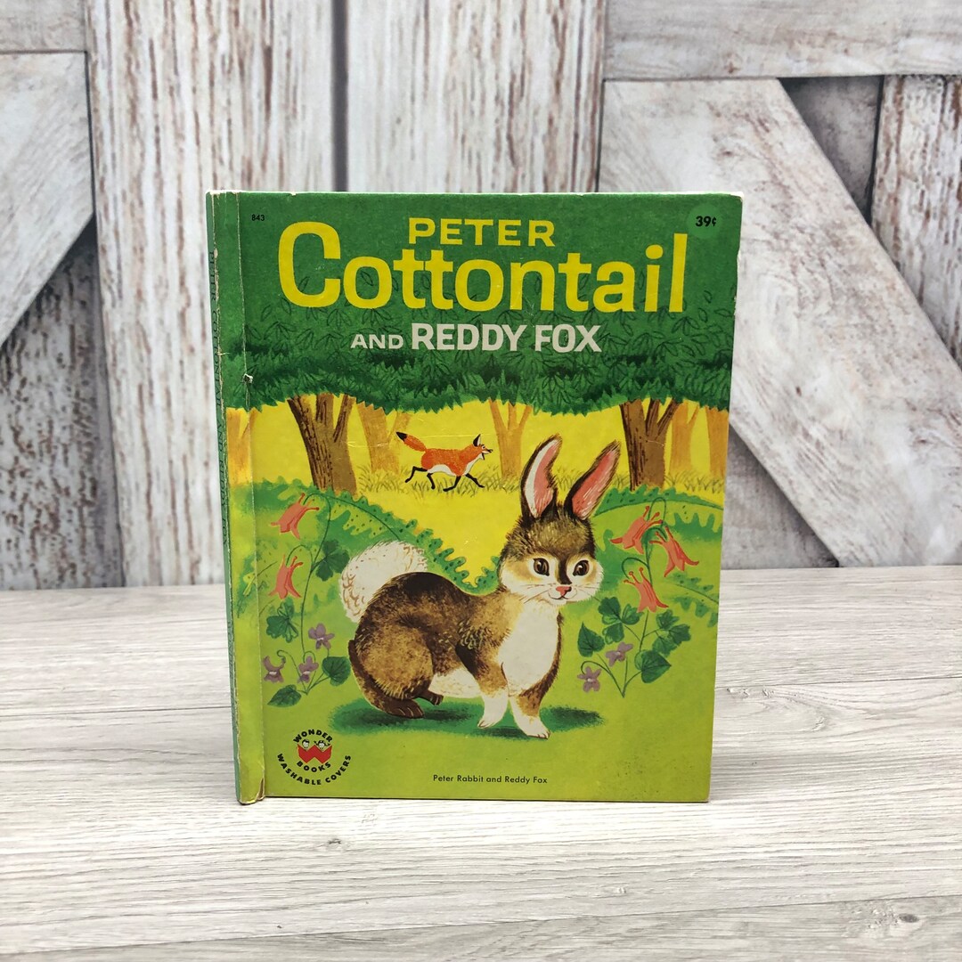 1954 Peter Cottontail and Reddy Fox Wonder Books Vintage Easter ...