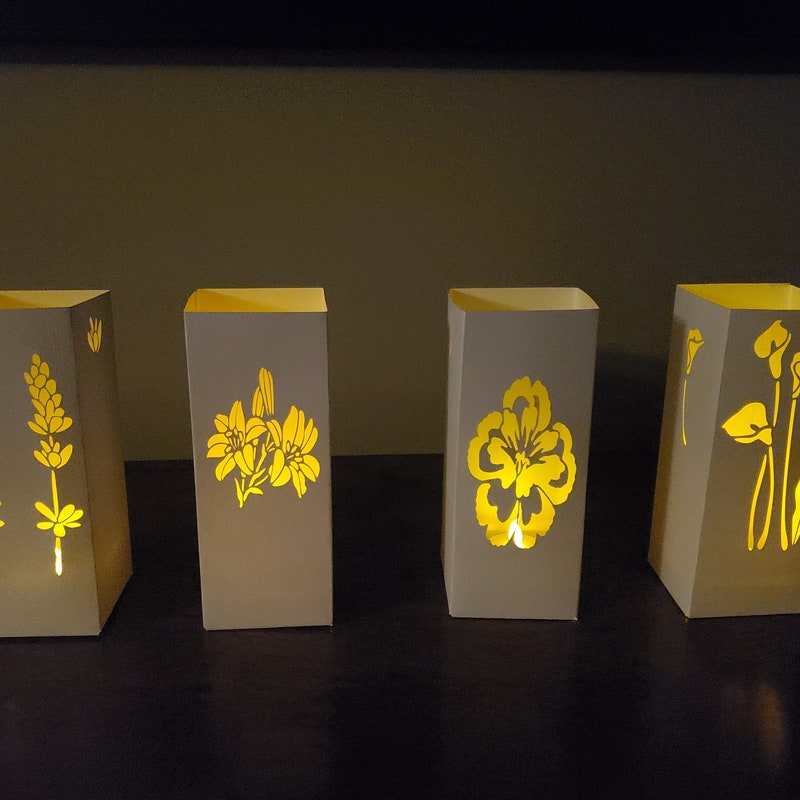 Luminaries - Etsy