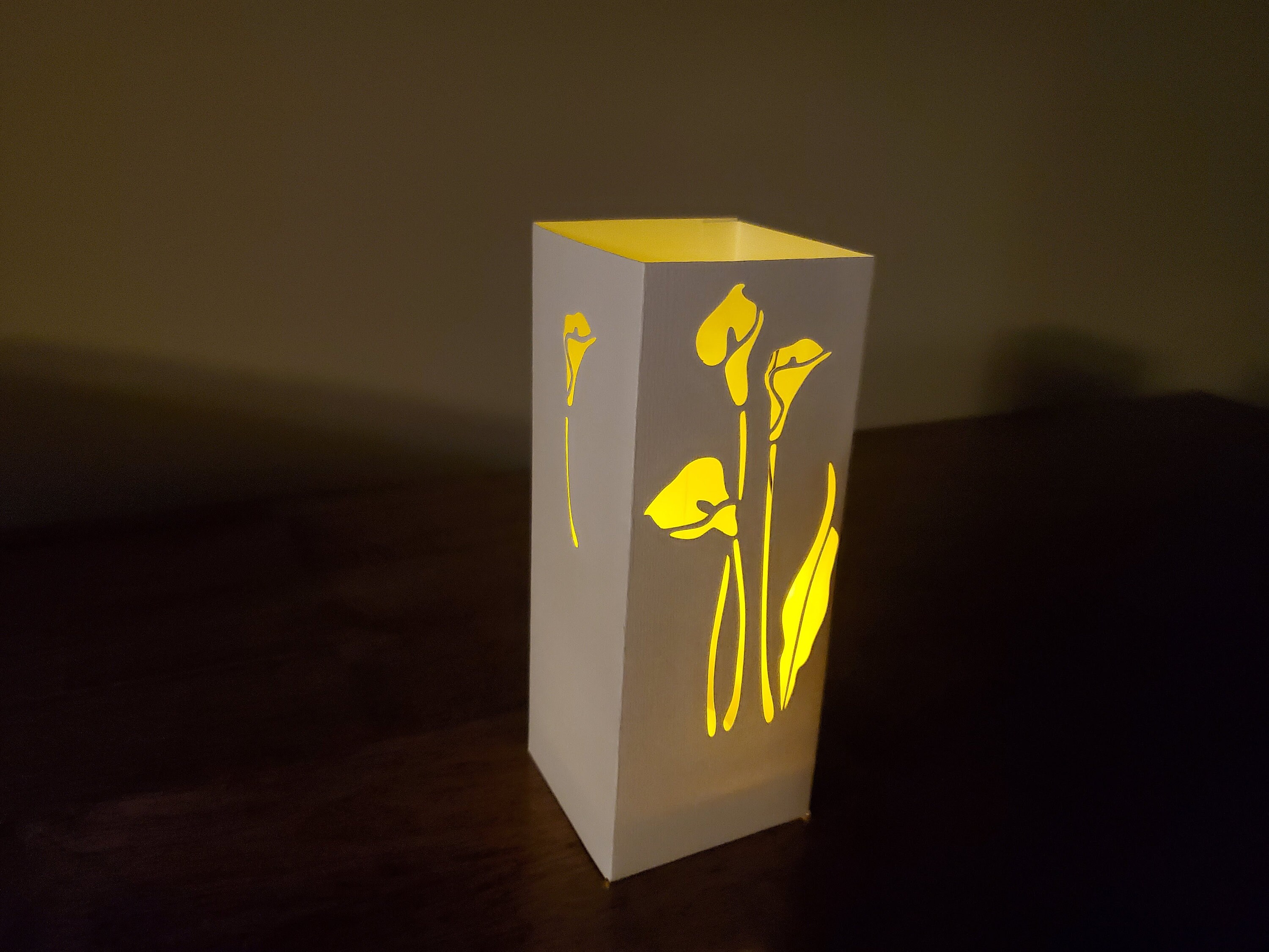 Flower Luminary Lanterns Free Shipping - Etsy