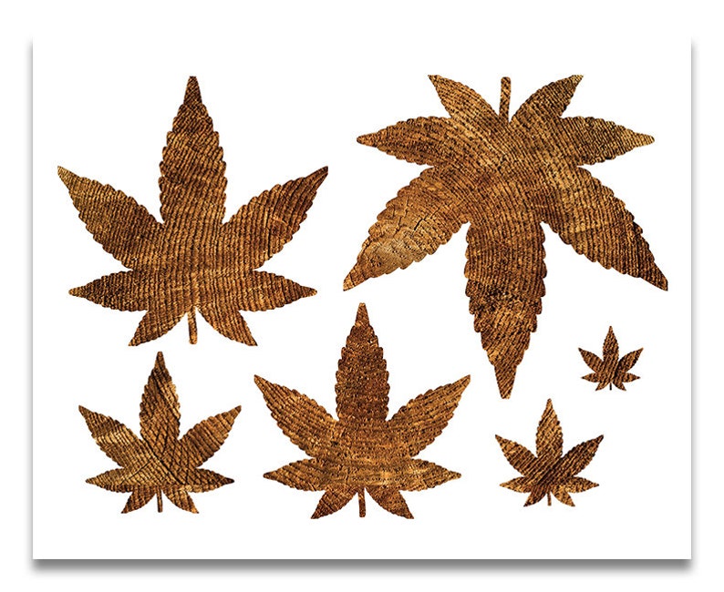 Marijuana Leaf Stencil 6 Sizes Reusable Color Draw & - Etsy