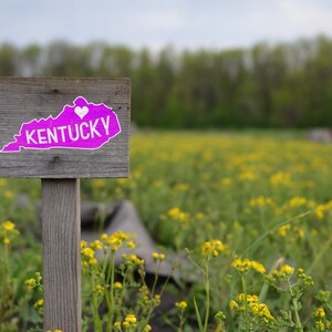 Kentucky Stencil Reusable Color Draw & Paint Stencil - Etsy