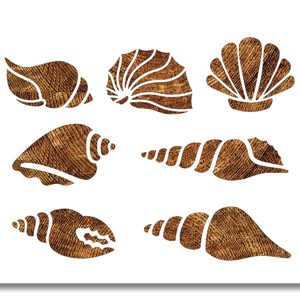 Sea Shell Stencils - Etsy