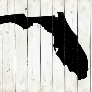 Florida Stencil Reusable Color Draw & Paint Stencil - Etsy