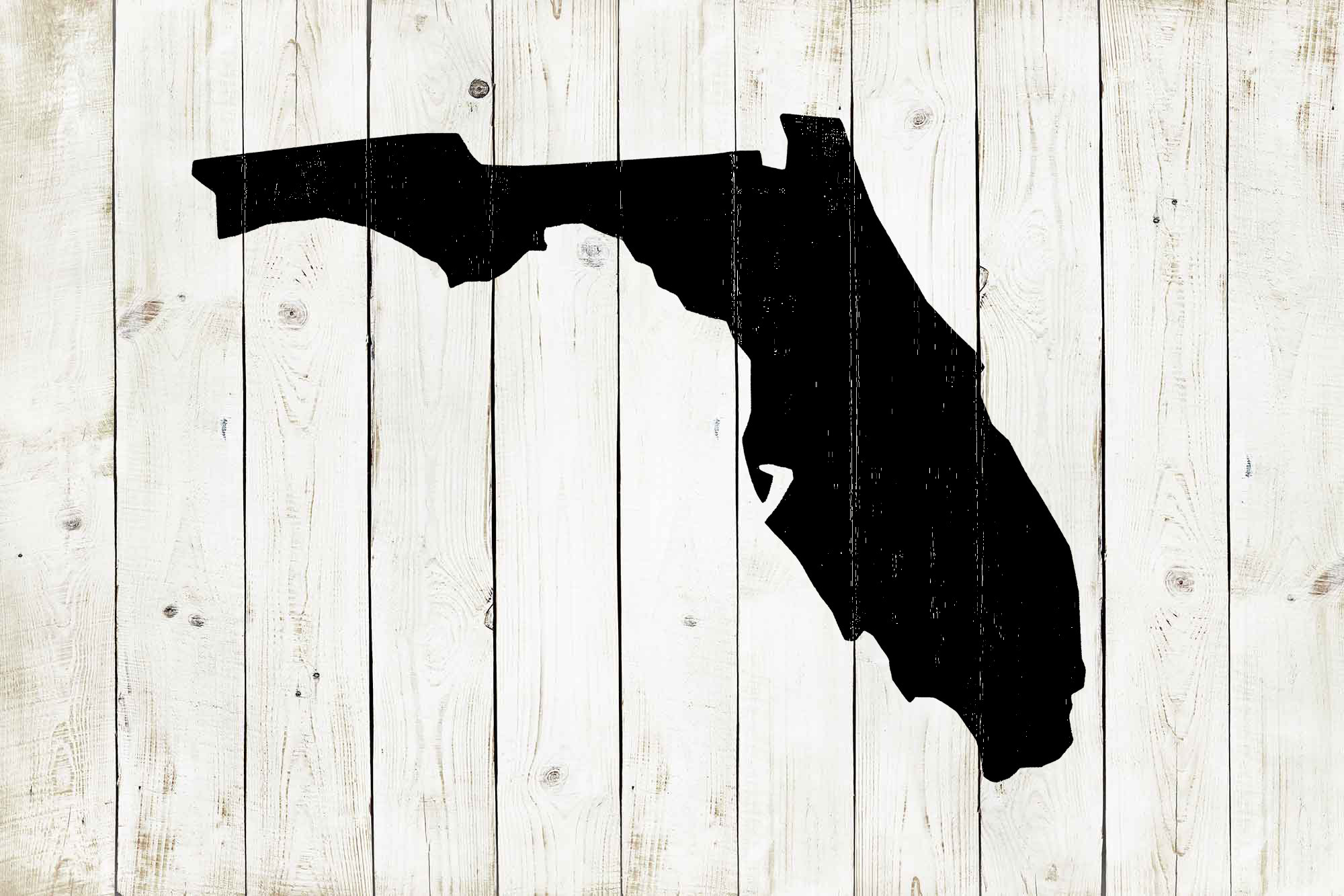 Florida Stencil Reusable Color Draw & Paint Stencil | Etsy