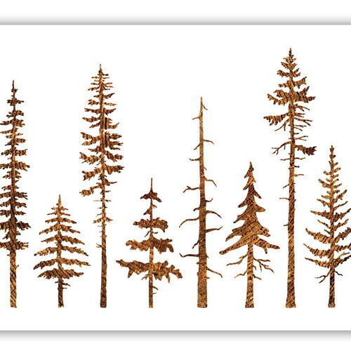 Forest Pine Trees 783-E047 Stencil Silhouette - Etsy