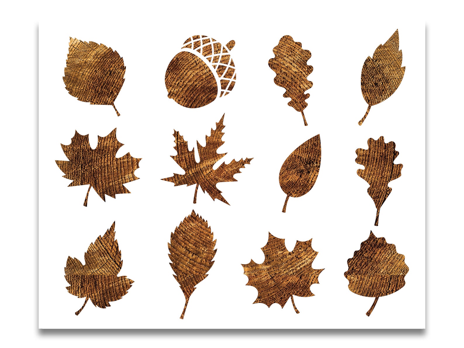 Autumn Leaves Stencil Reusable Color Draw & Paint Stencil - Etsy