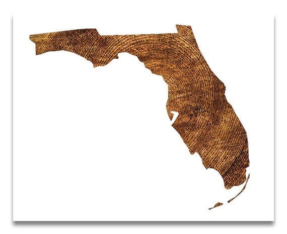 Florida Stencil Reusable Color Draw & Paint Stencil - Etsy