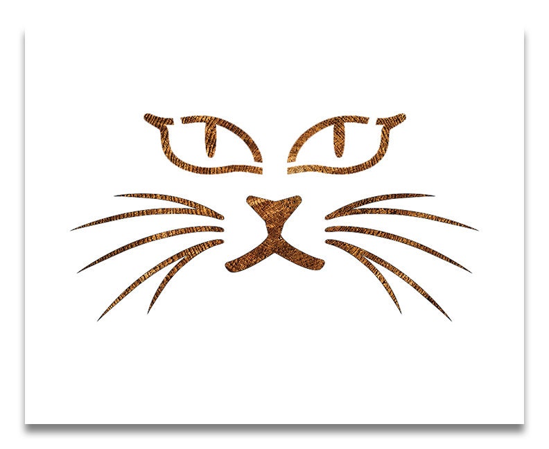 Simple Cat Face Drawing