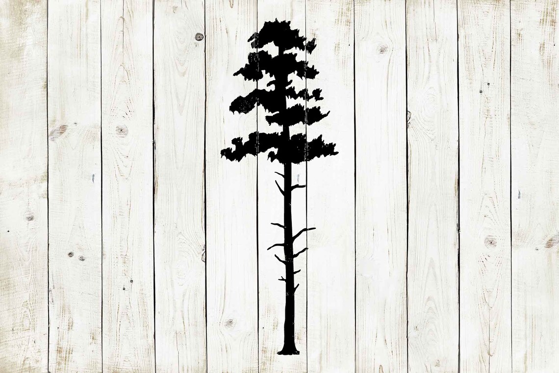 Pine Tree Stencil Scots Pine Tree Reusable Color Draw & | Etsy