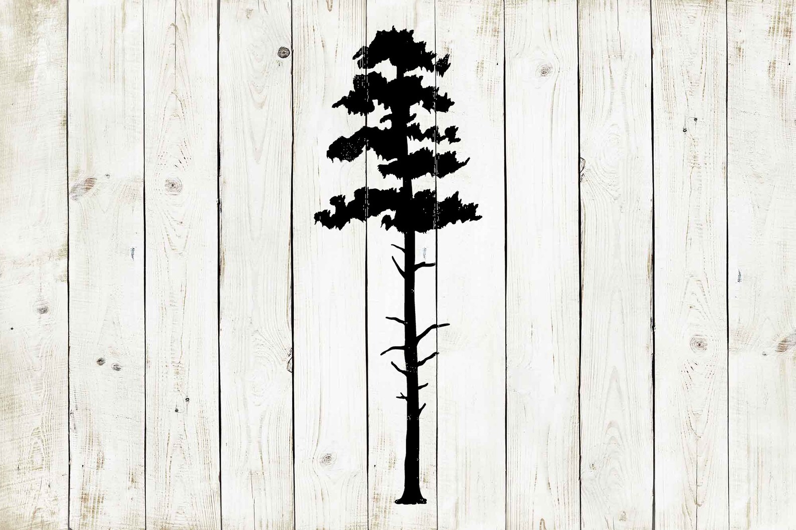 Pine Tree Stencil Scots Pine Tree Reusable Color Draw & | Etsy