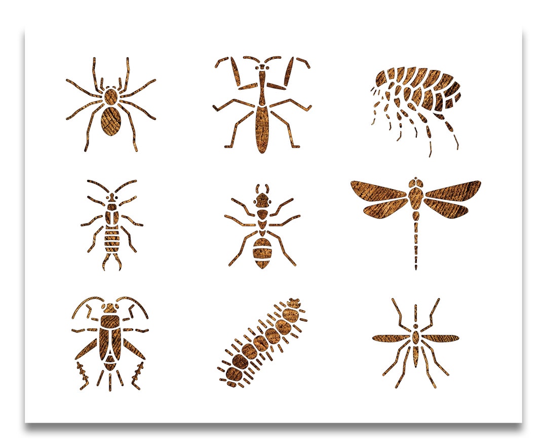 Bugs Stencil Insects Stencil Reusable Color Draw & Paint - Etsy