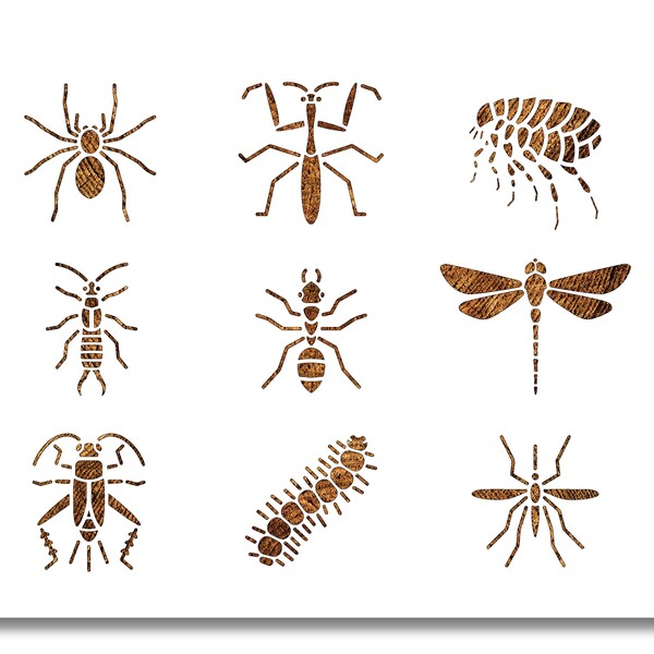 Insect Stencil - Etsy