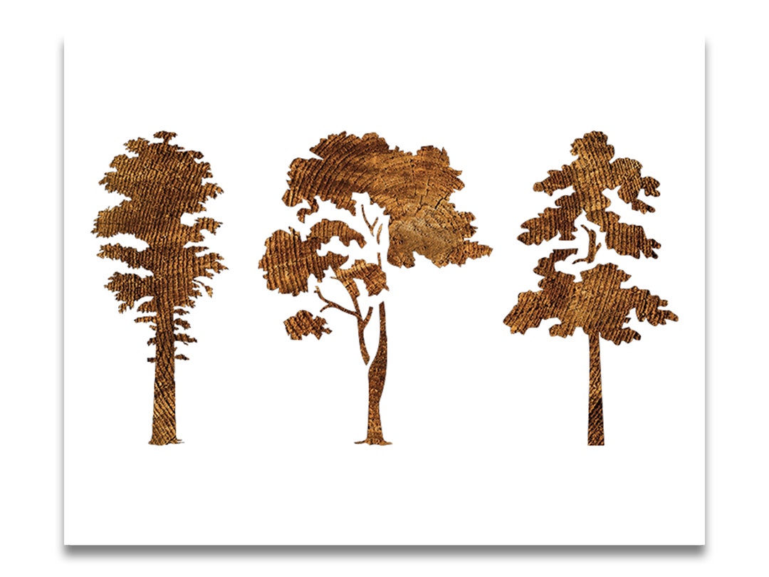 Trees Stencil Reusable Color, Draw, & Paint Stencil - Etsy