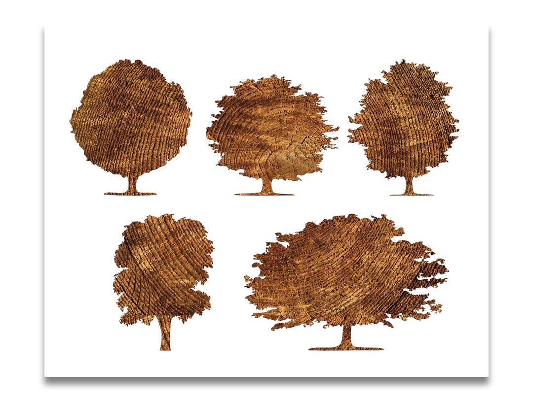 Oak Tree Stencil Walnut Tree Stencil Juniper Tree Stencil Maple Tree ...
