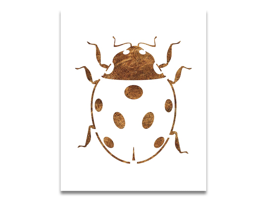 Ladybug Stencil Reusable Color, Draw, Paint Custom Stencil Art - Etsy