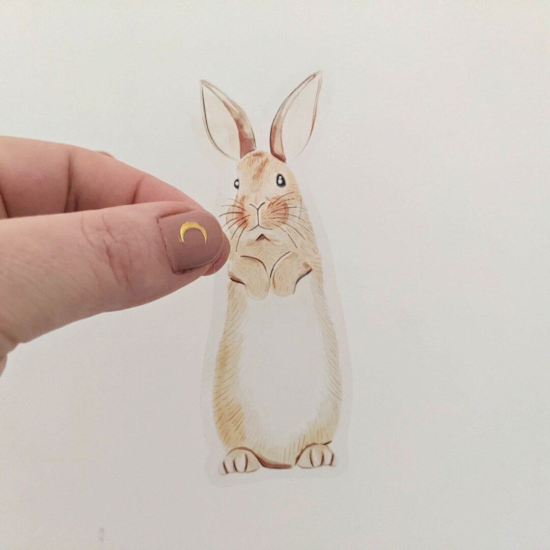 Adorable Bunny Rabbit Clear Sticker Transparent Design Cute Brown ...