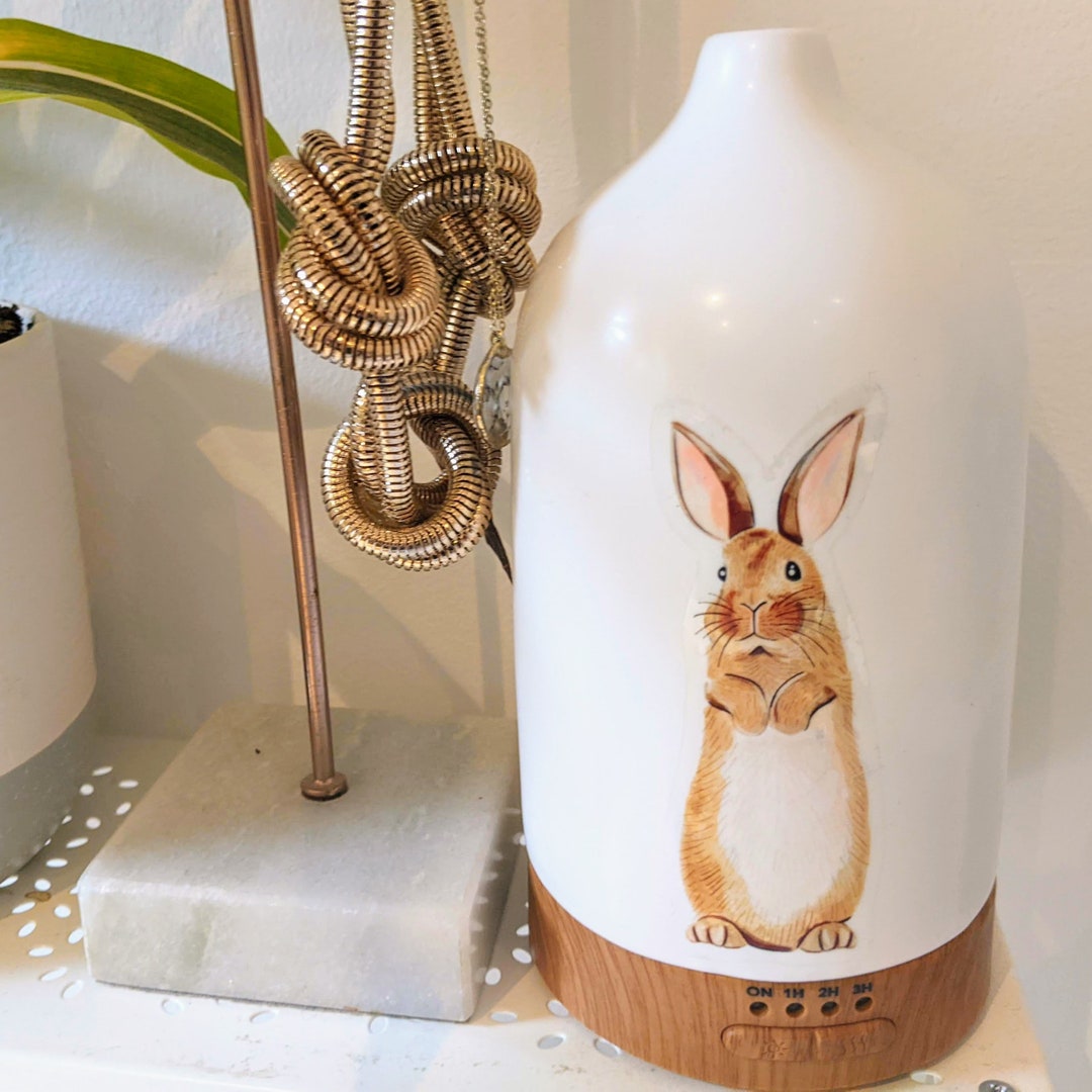 Bunny Rabbit Clear Sticker Transparent Brown Rabbit - Etsy