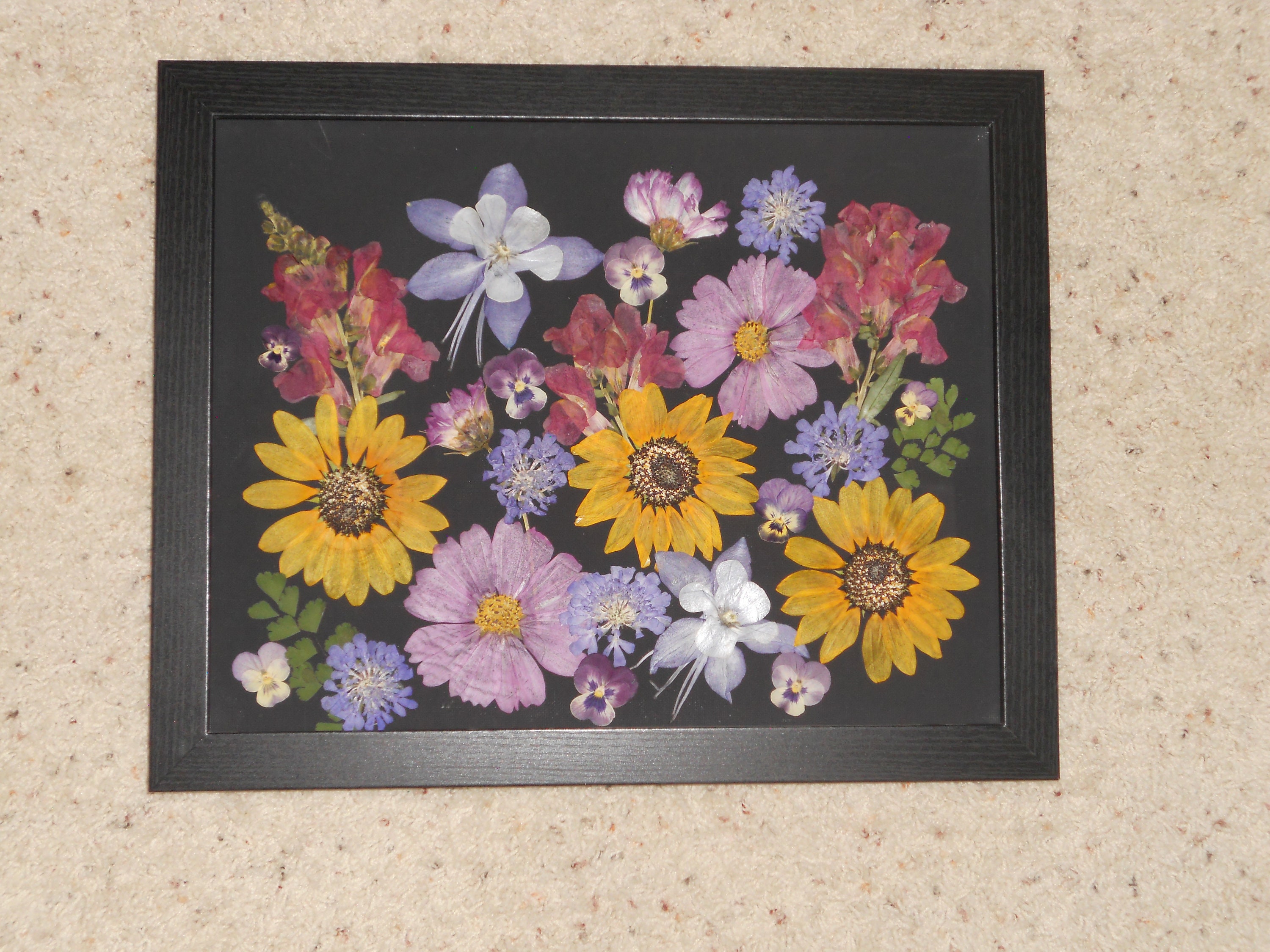 11X14 Pressed Flowers Collage on Black With REAL Pressed Flowers From ...