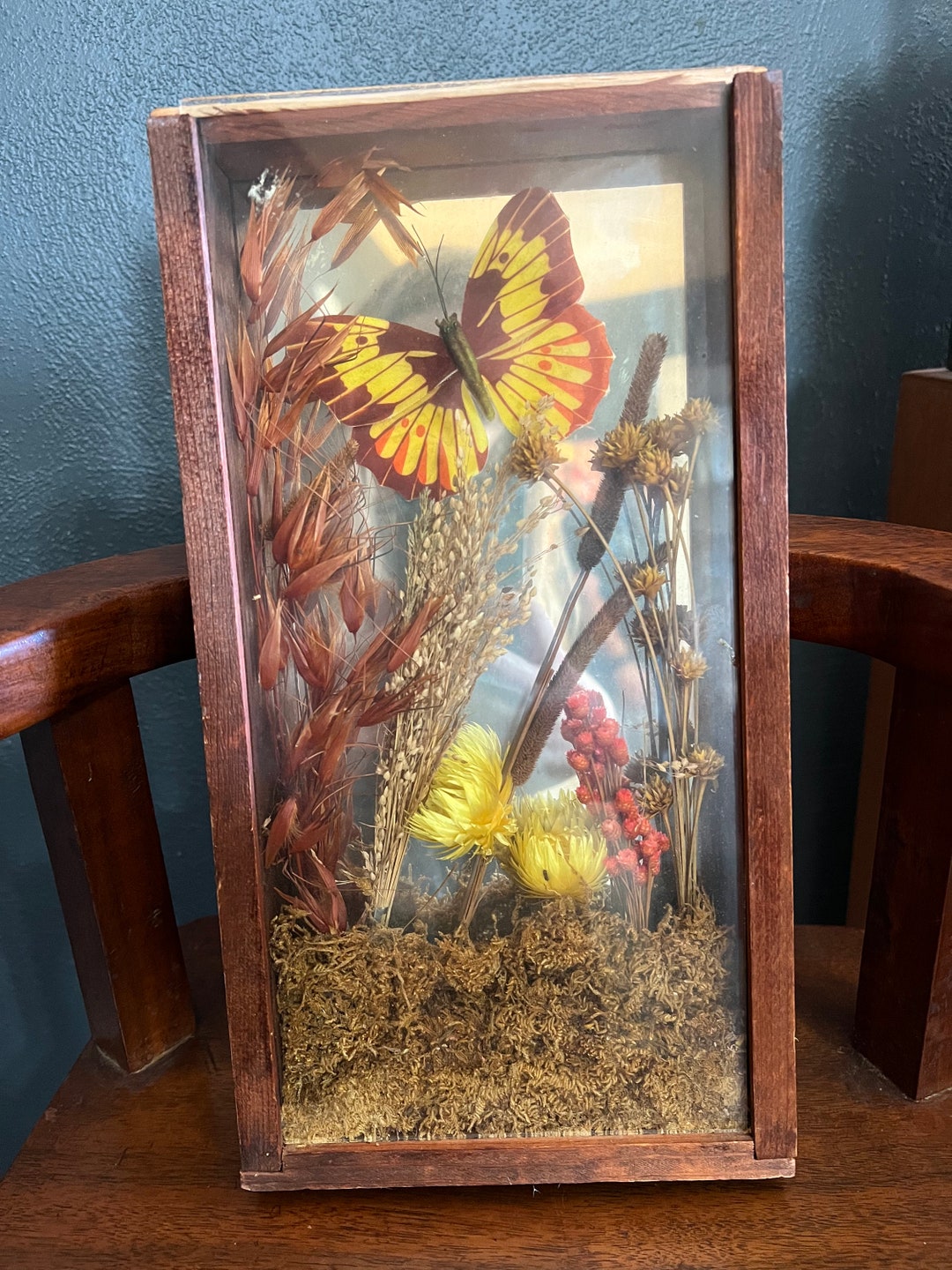 Vintage Dried Floral Butterfly Display From the 1970s - Etsy