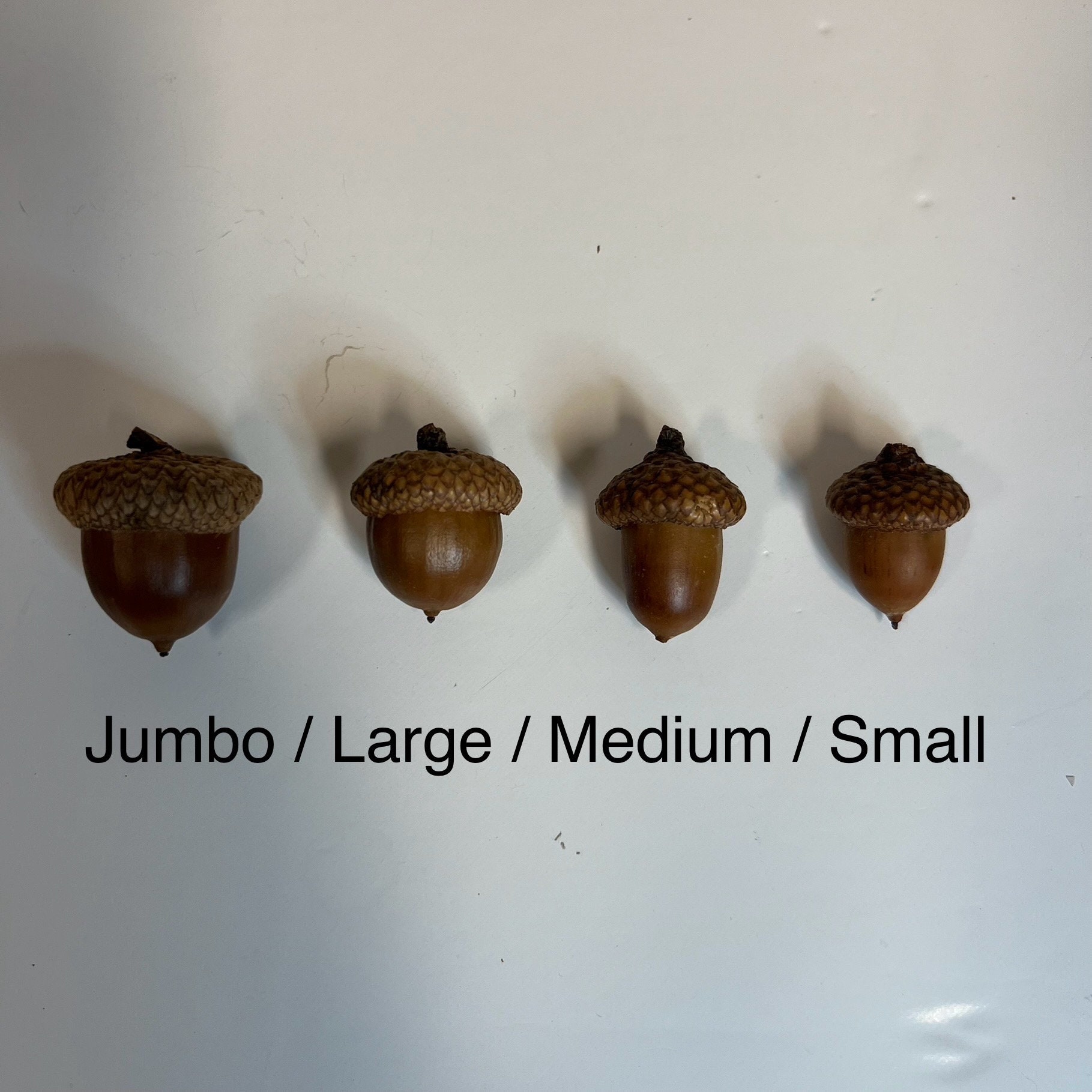 Hand Painted Natural Jumbo Acorns Dot Art Thanksgiving Decor Fall Decor ...