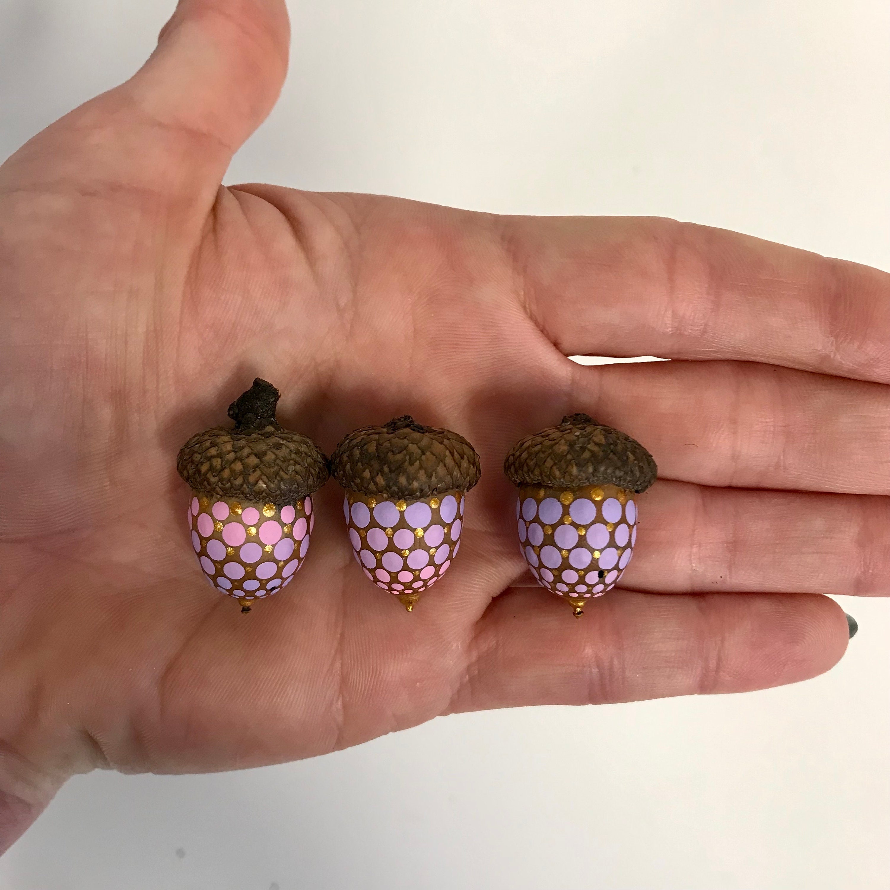 Hand Painted Natural Acorns Dot Art Mandala Acorn - Etsy
