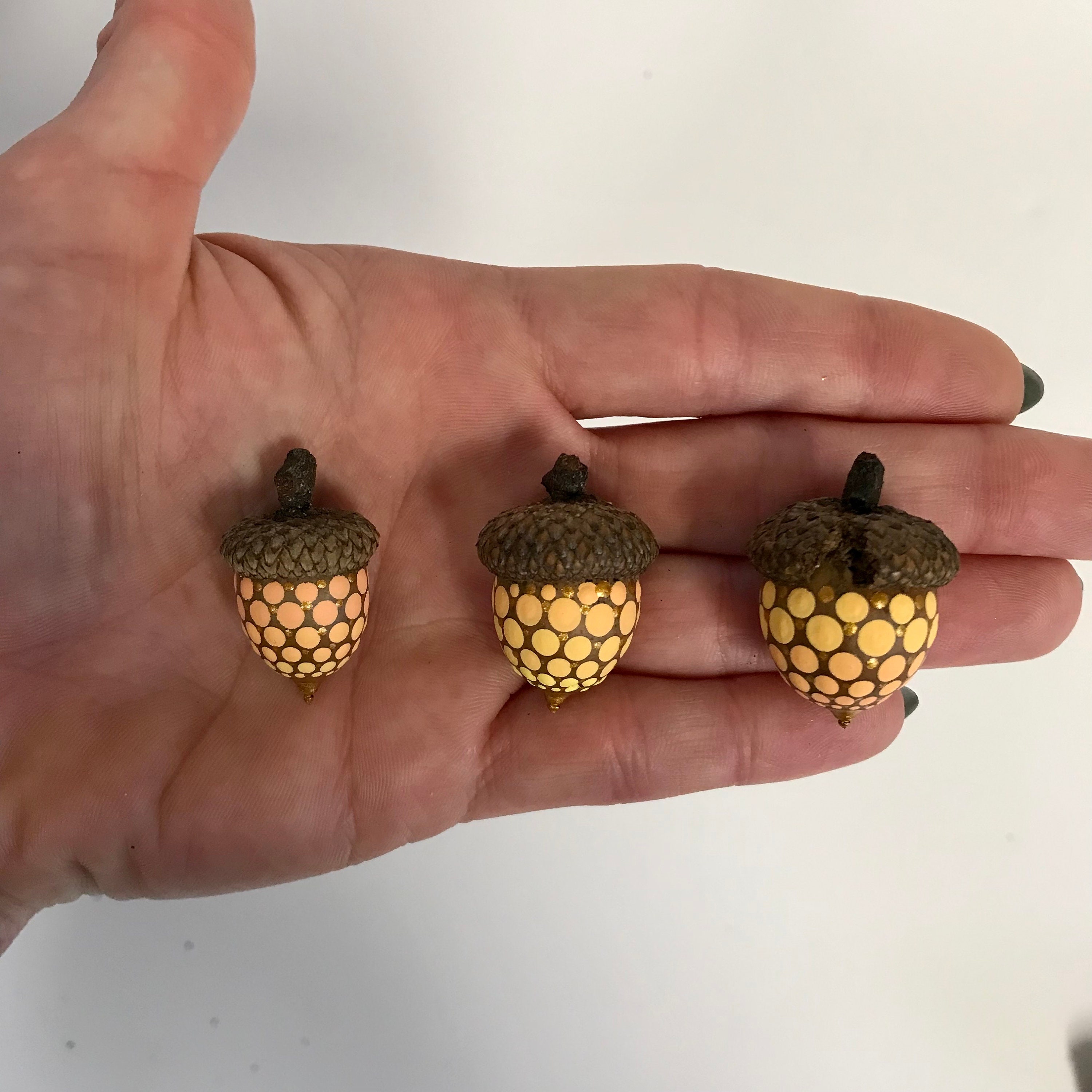 Hand Painted Natural Acorns Dot Art Mandala Acorn - Etsy