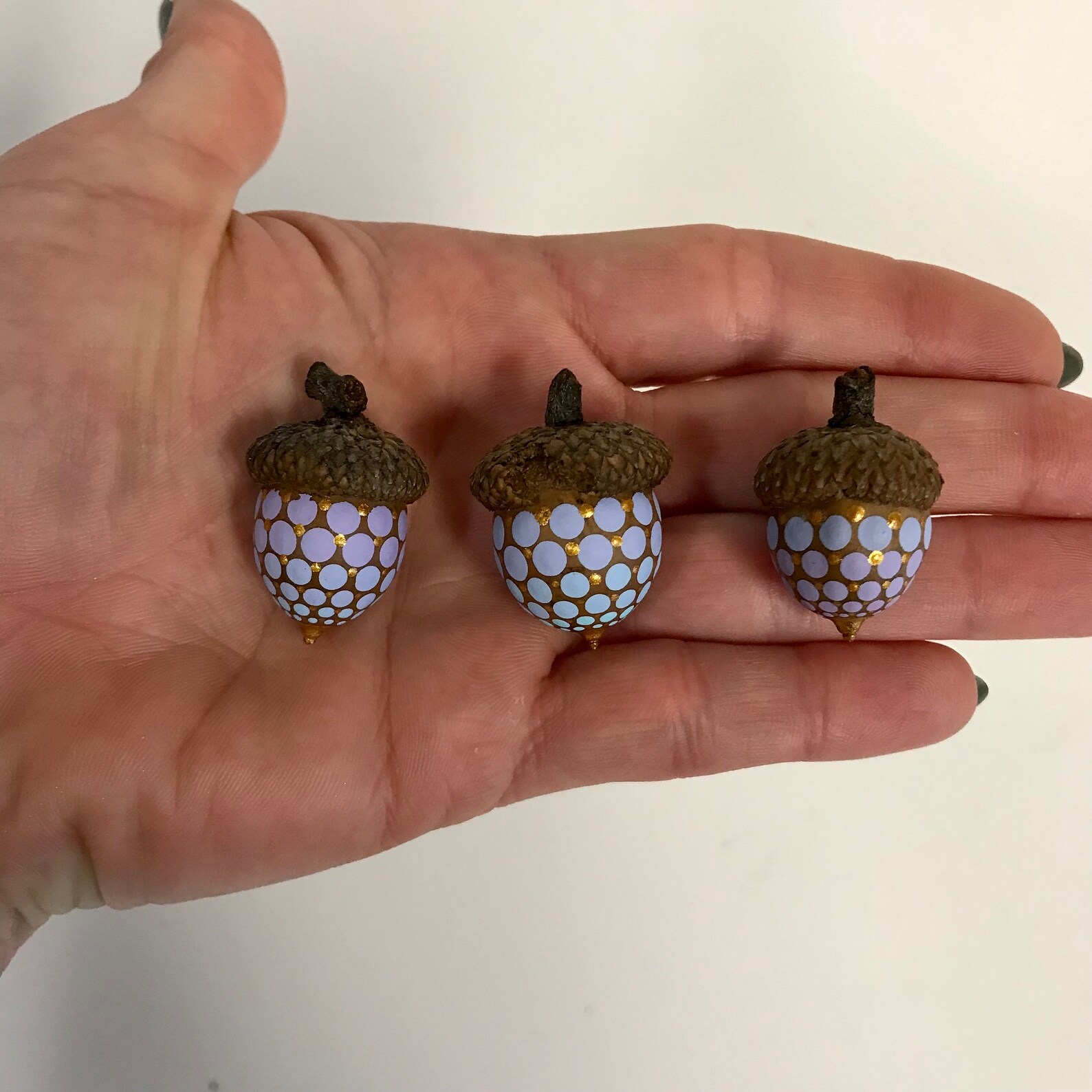 Hand Painted Natural Acorns Dot Art Mandala Acorn - Etsy